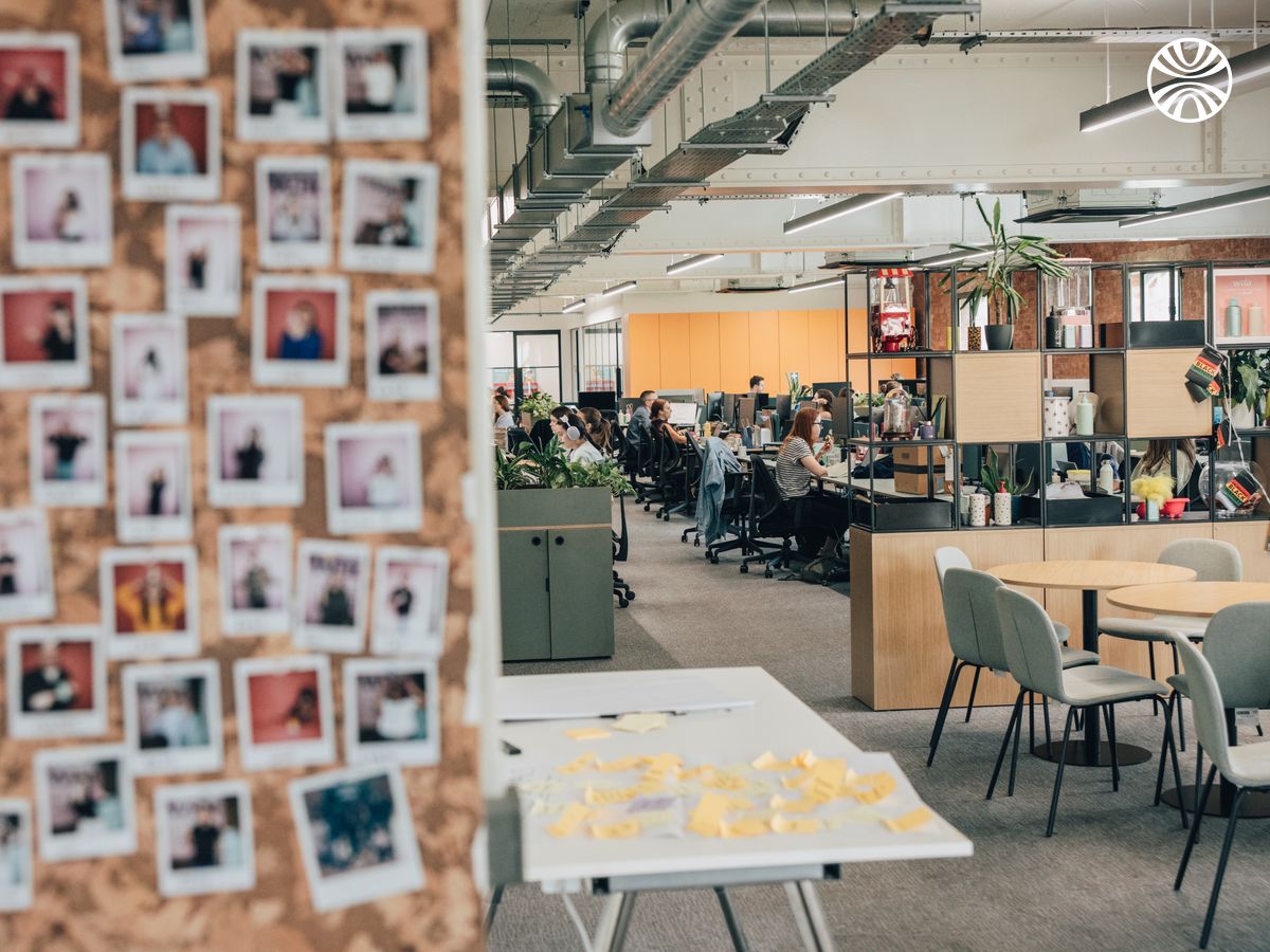 Wild Jobs and Careers | Welcome to the Jungle (formerly Otta)