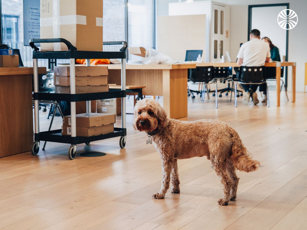 Beam Jobs and Careers | Welcome to the Jungle (formerly Otta)